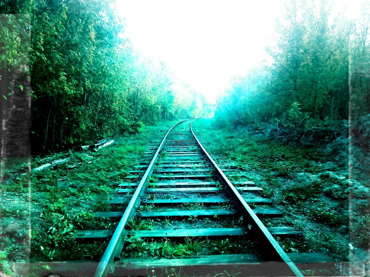 ArtStation - Forest and rails