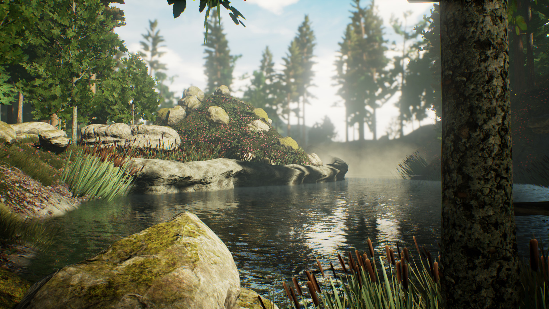 Steven Marks - Lakeside View