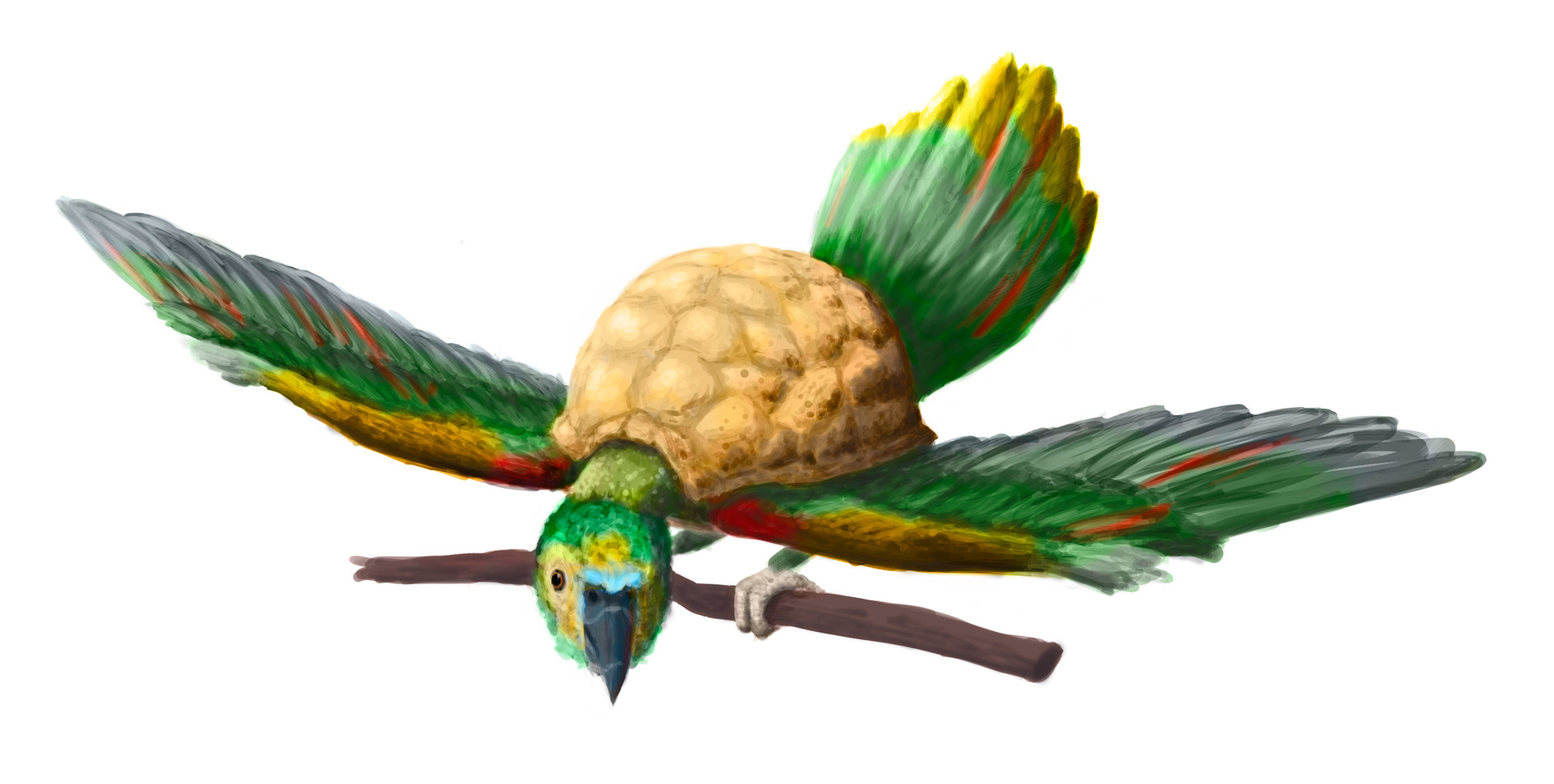 ArtStation - Parrot-Turtle