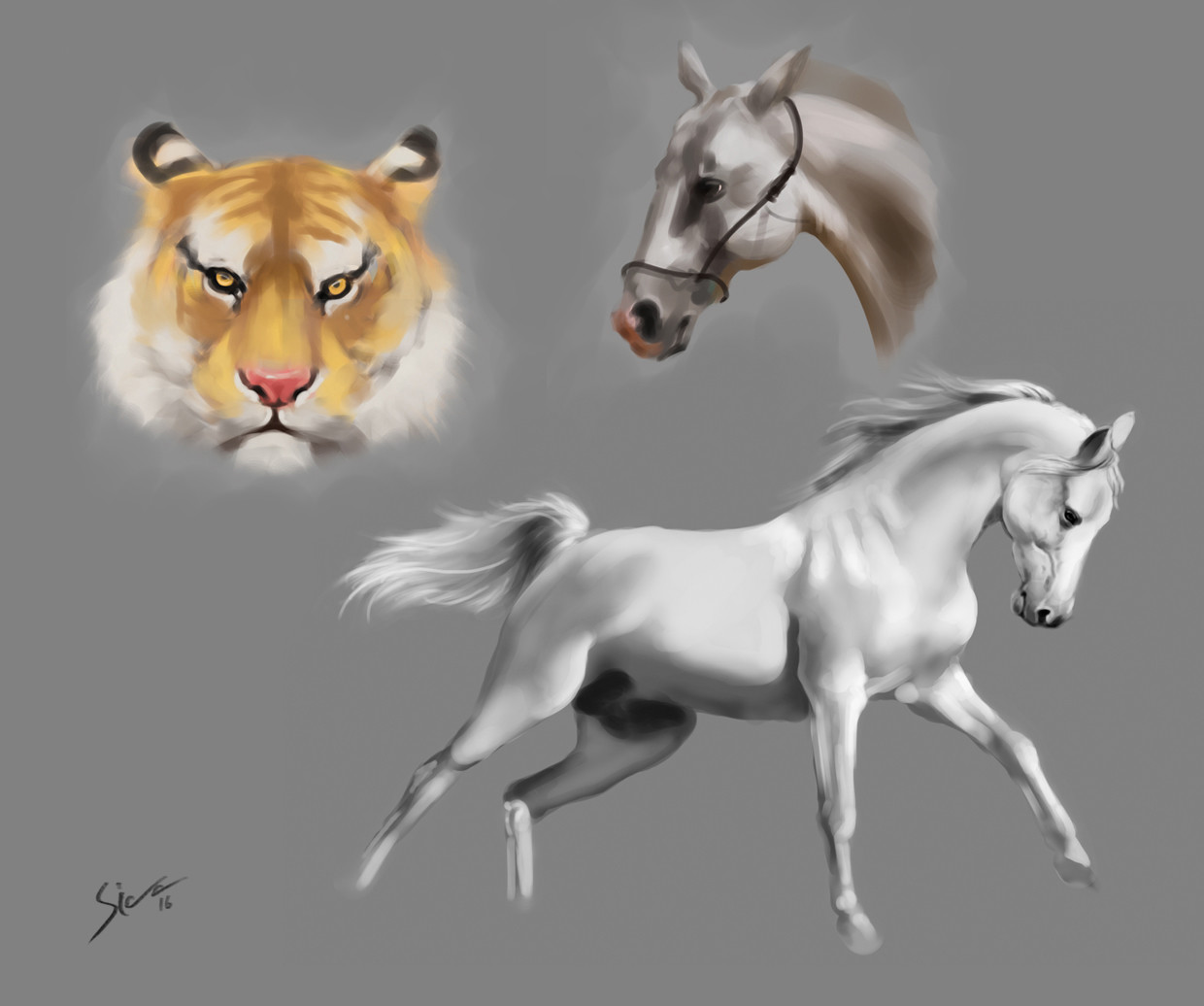 ArtStation - Animal Study