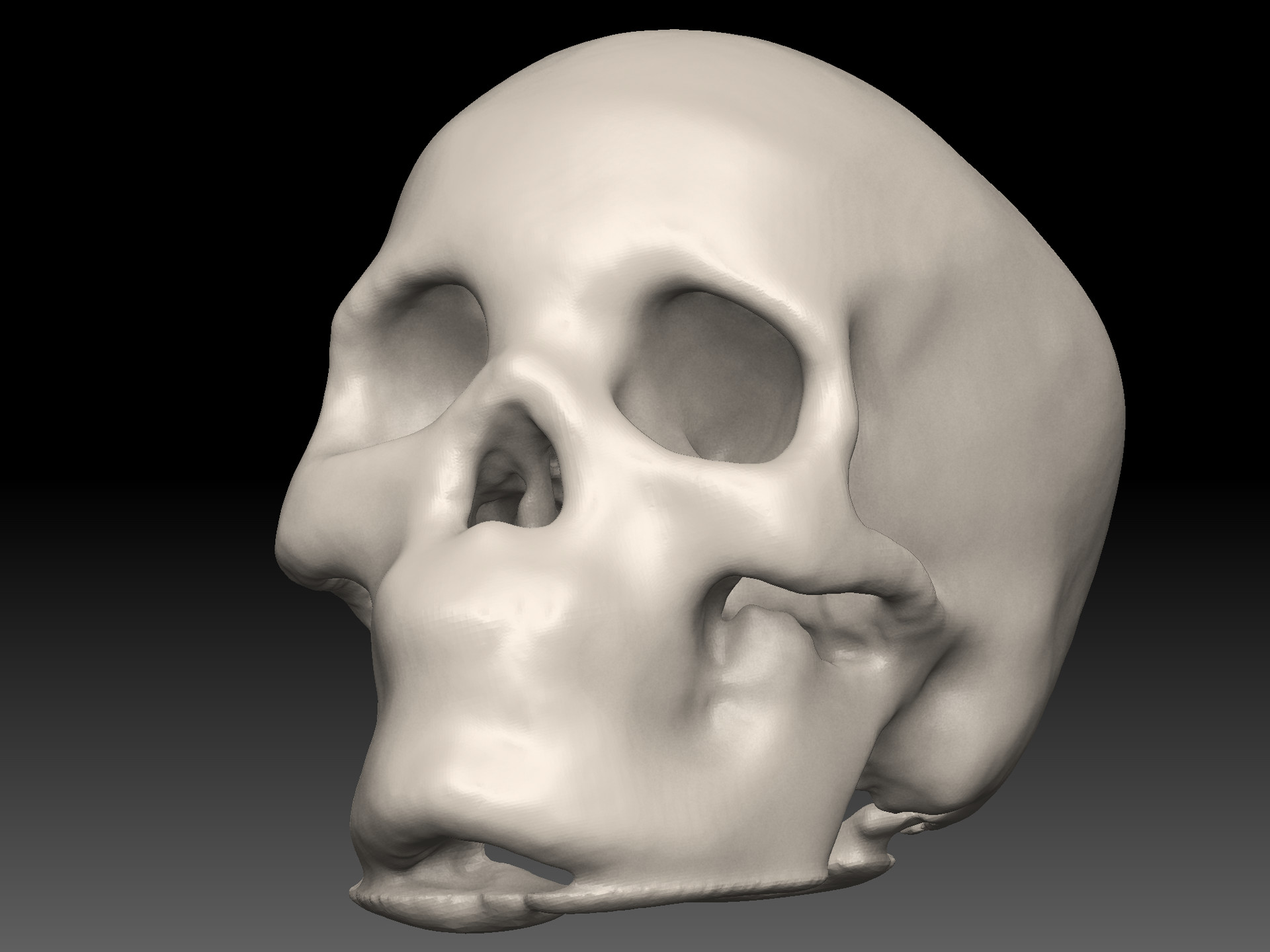 Matthew Brockman - Forensic Facial Reconstruction