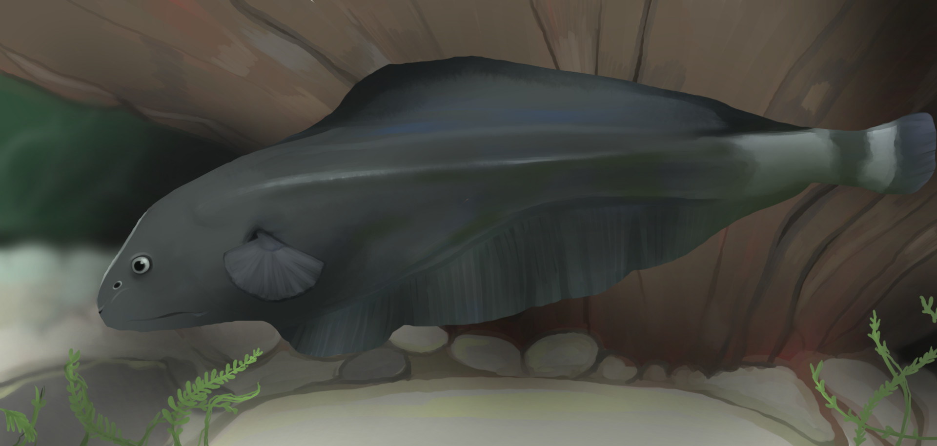 ArtStation - Black Ghost Knifefish