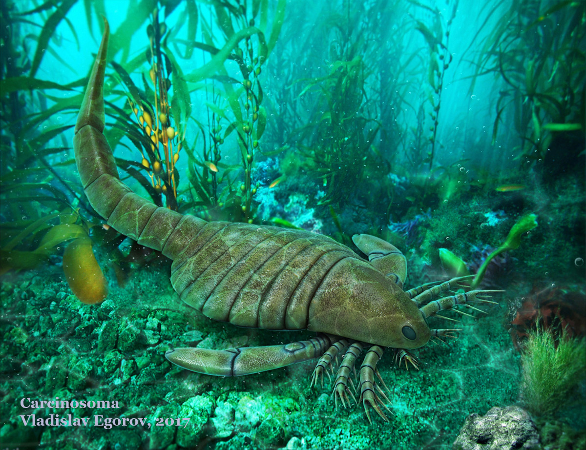 ArtStation - Carcinosoma