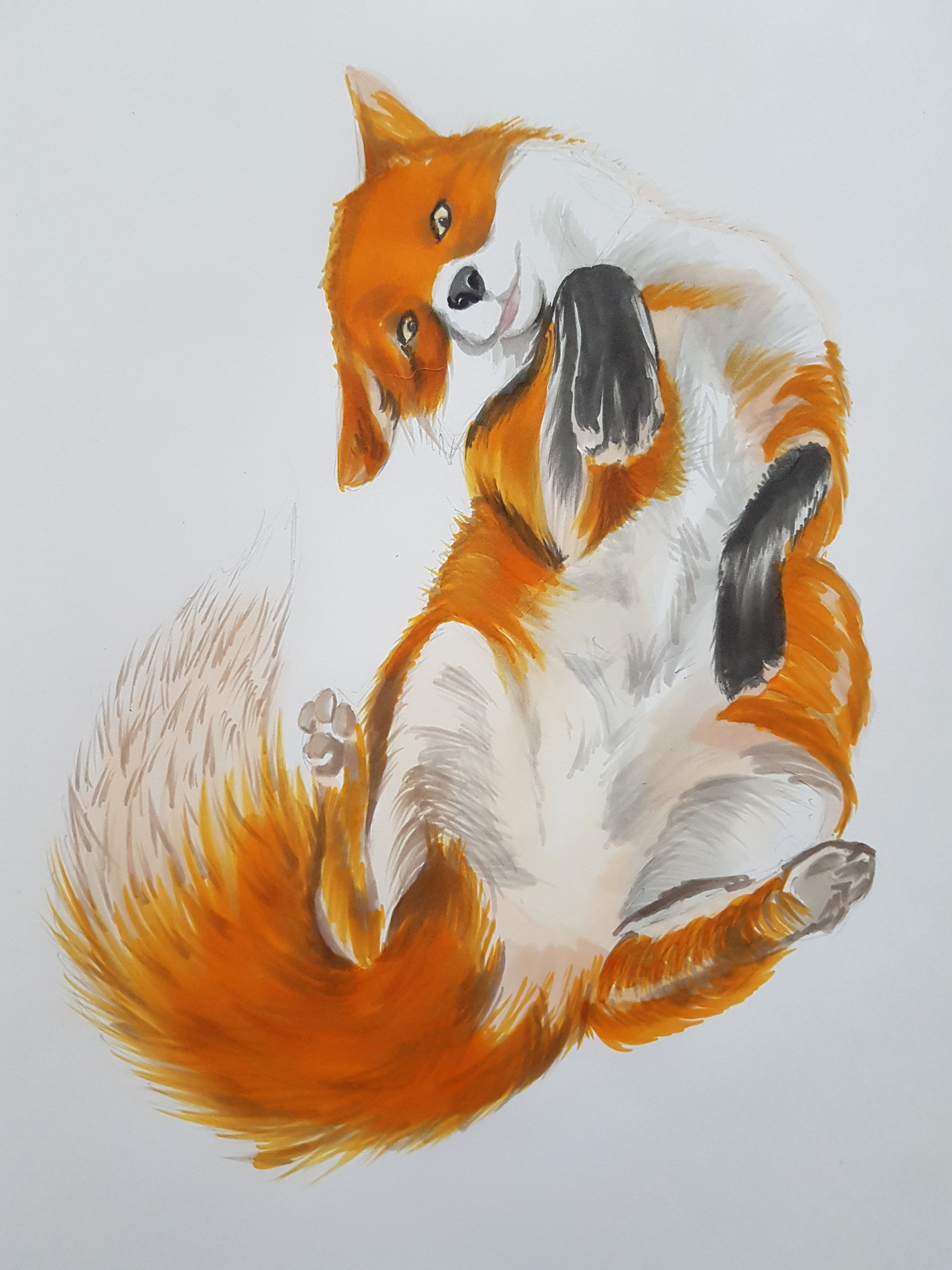 ArtStation - Cute and funny Fox