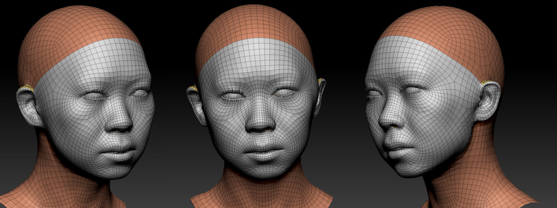 Matthew Driver - 3d scan