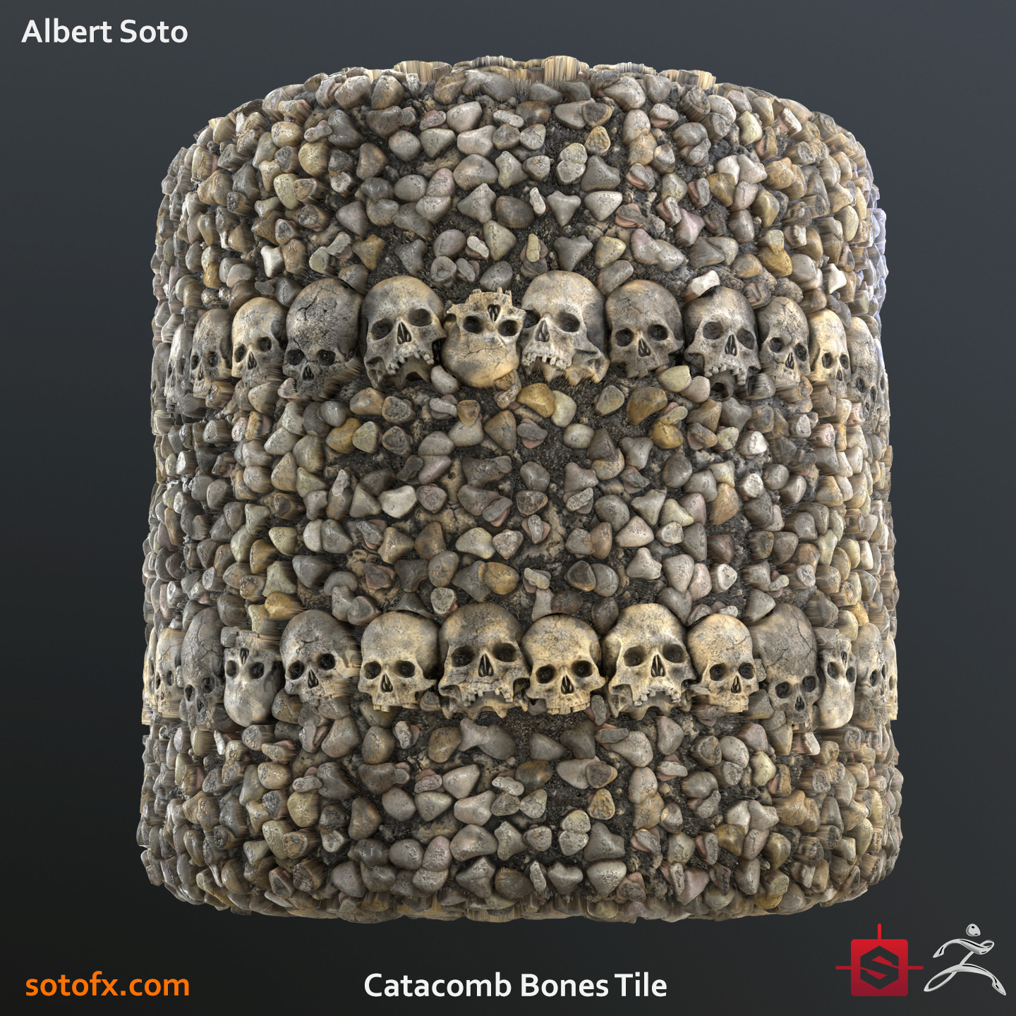 Albert Soto - Catacomb Bones