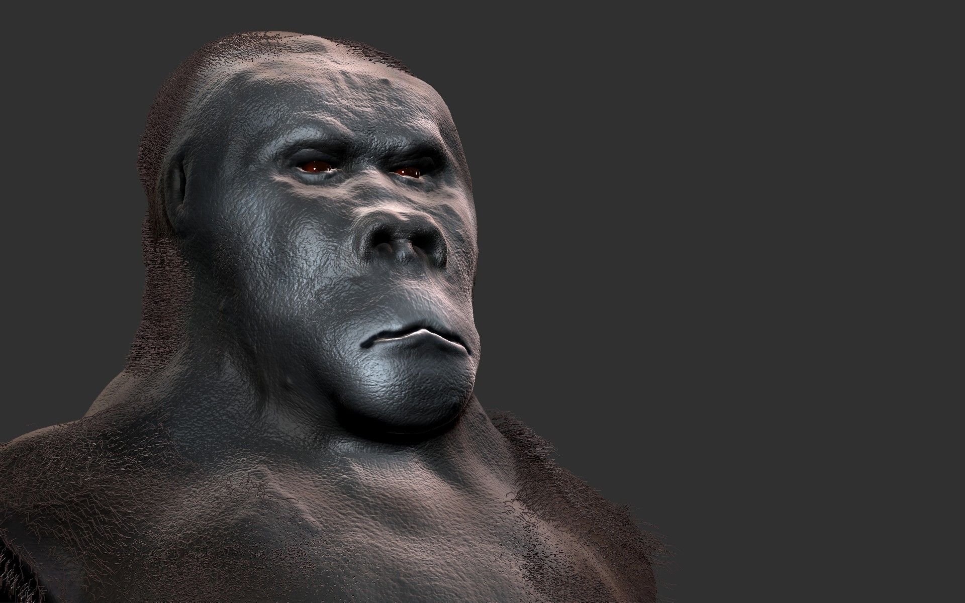 ArtStation - Ape