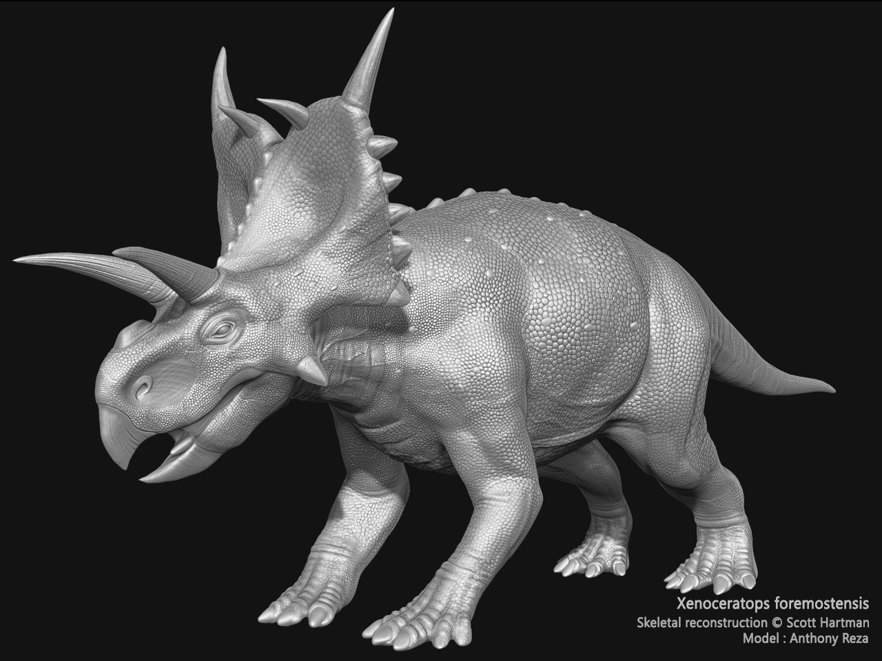Xenoceratops