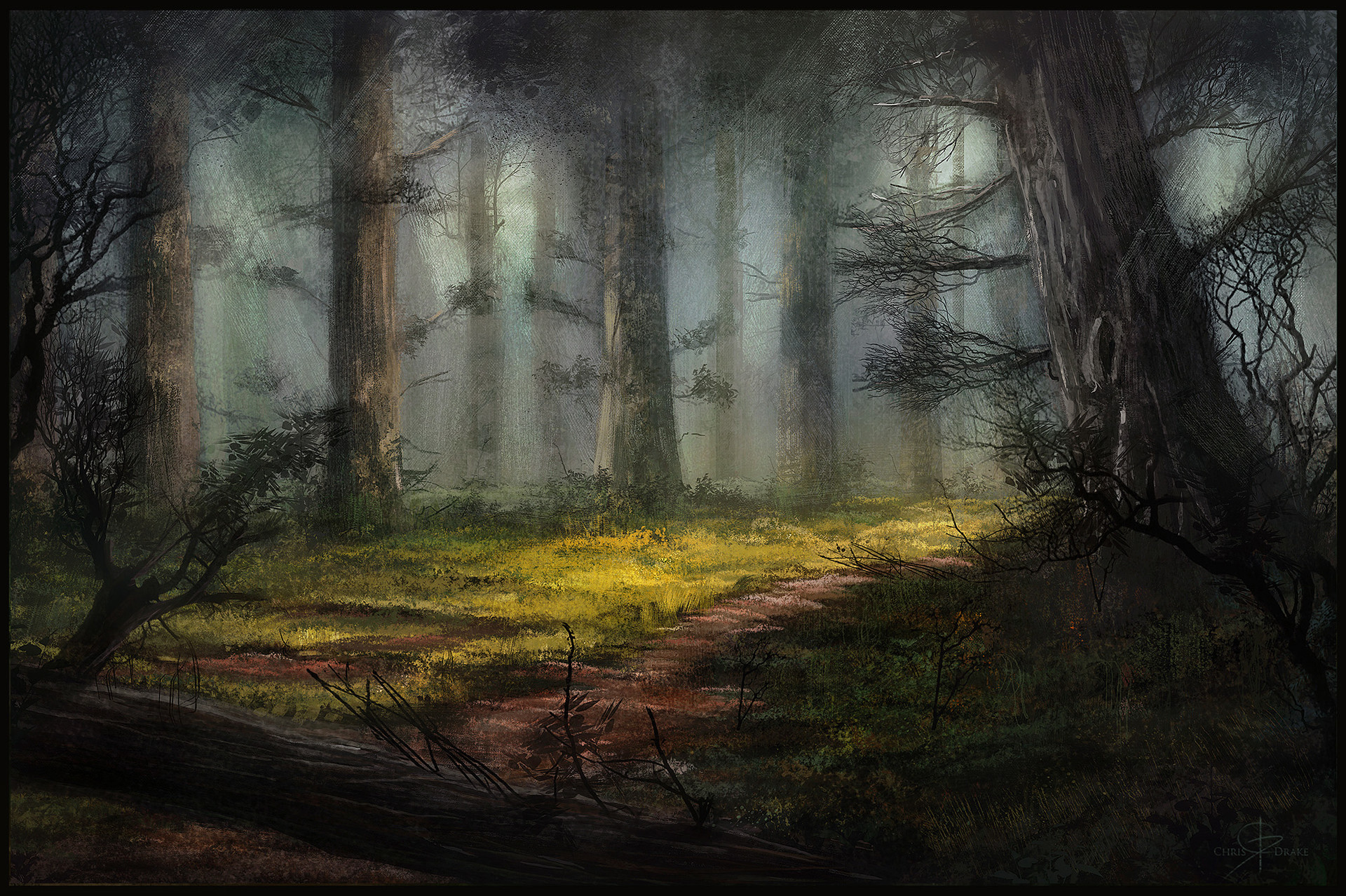 ArtStation - Forest Illustration