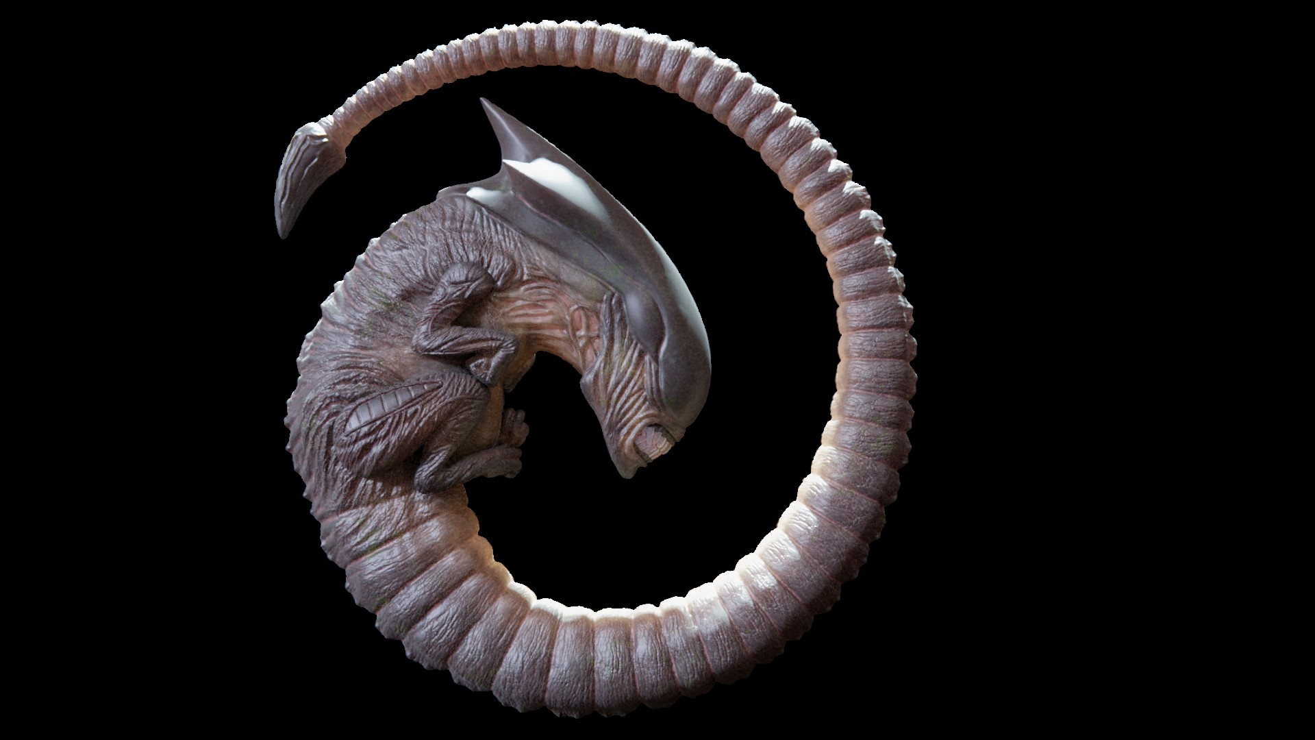 José Nicolás Carrizales Rivera "Nikko3d" - Alien Queen Larva