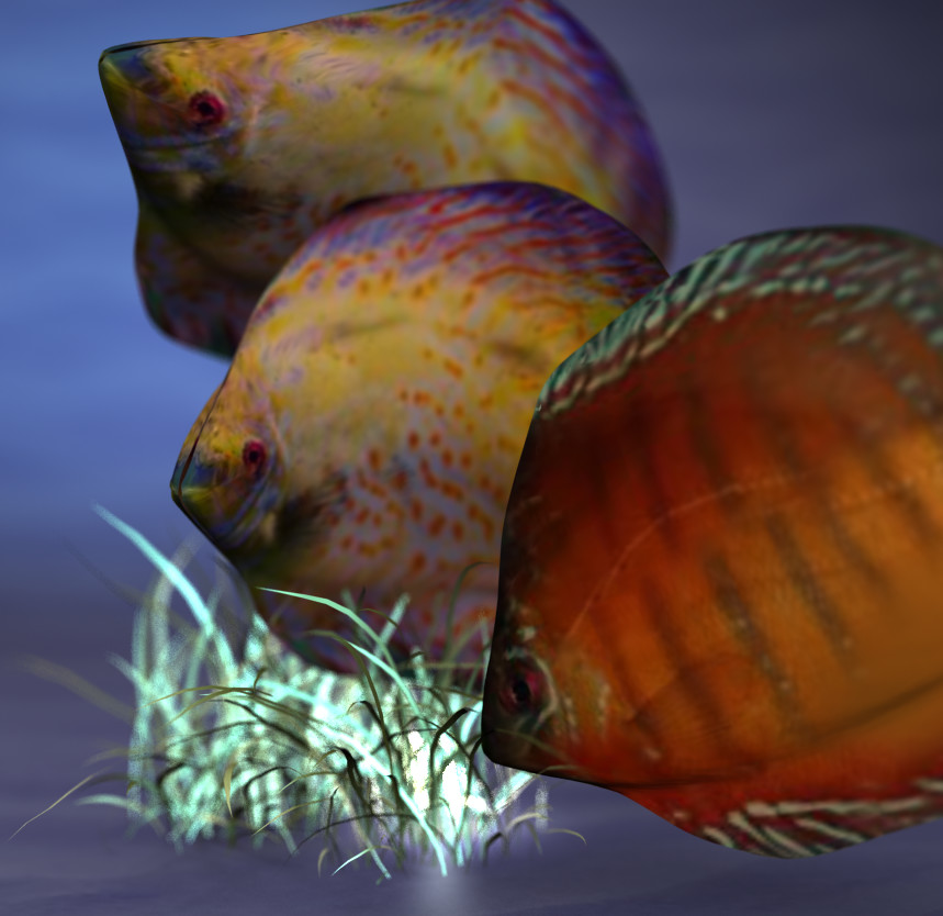 ArtStation - Discus Fish 3D