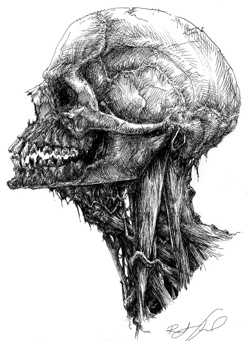 how to draw realistic gore