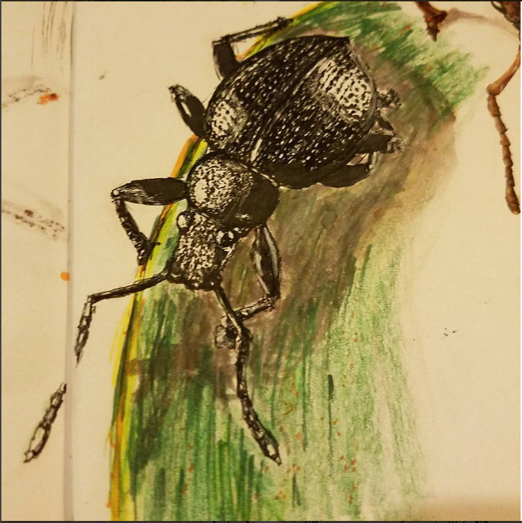 William Mitchell - Illustration