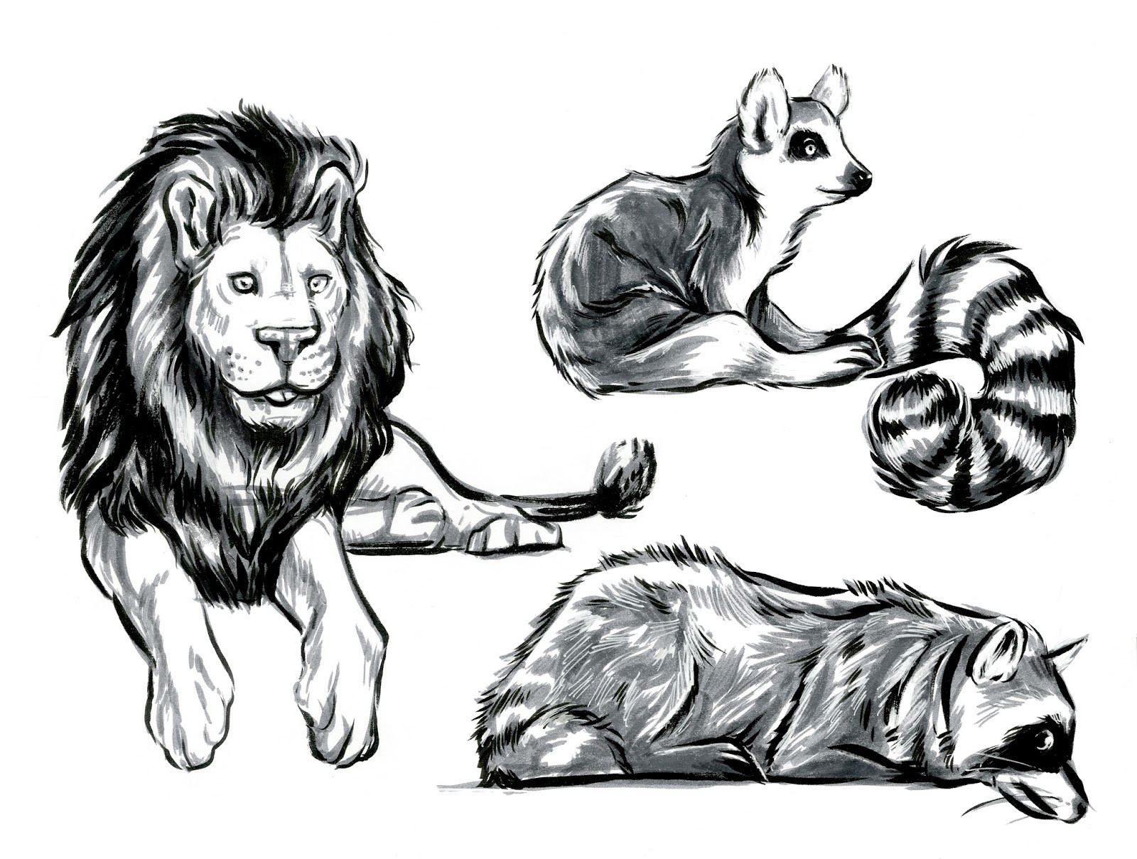 Megan Moberly - Tons of Animal Drawings