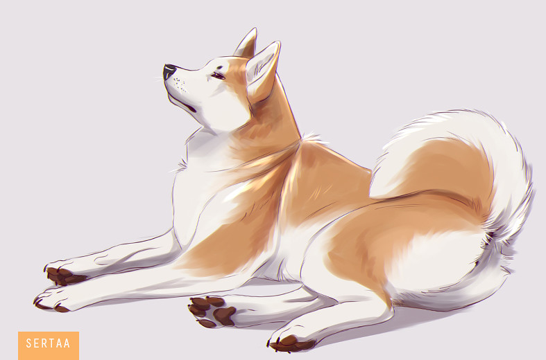 deviantart dogs
