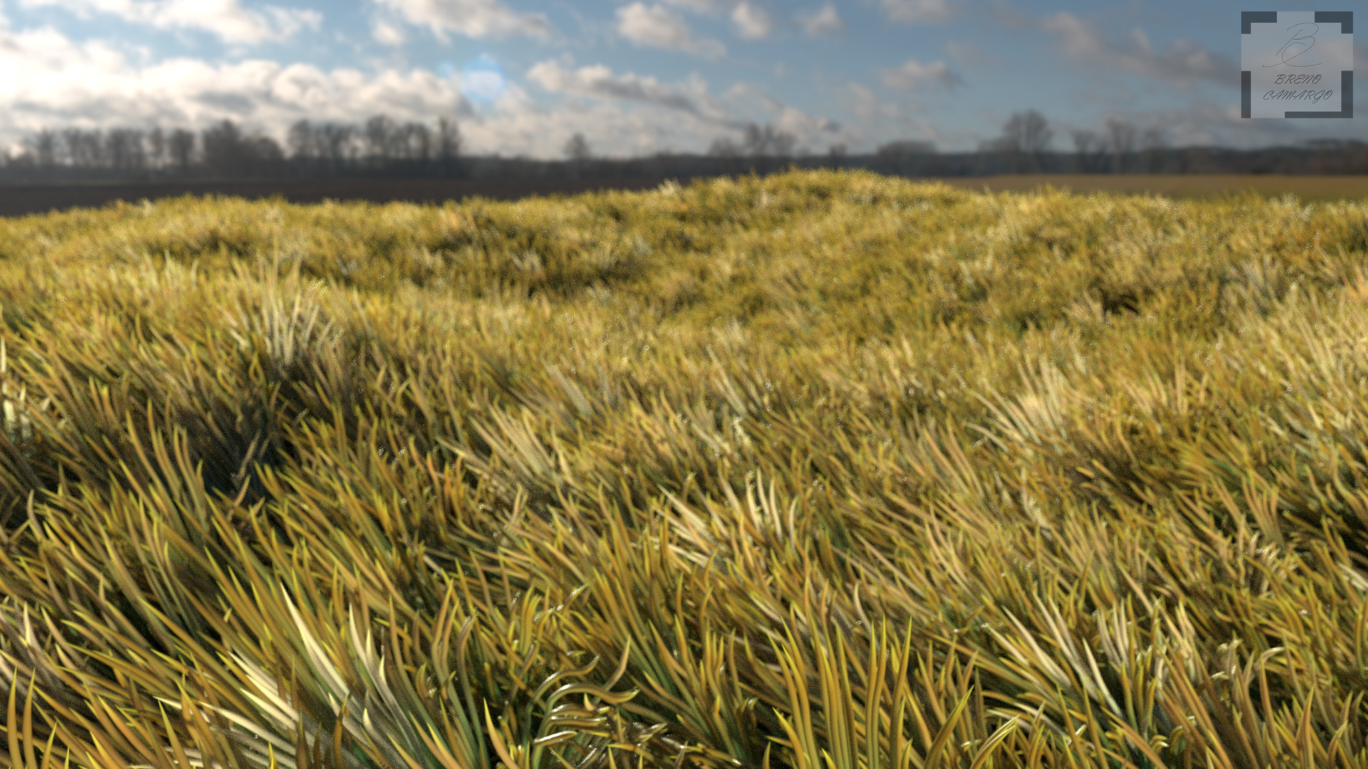 ArtStation - Scene with the grasses final version done "Participant of ...