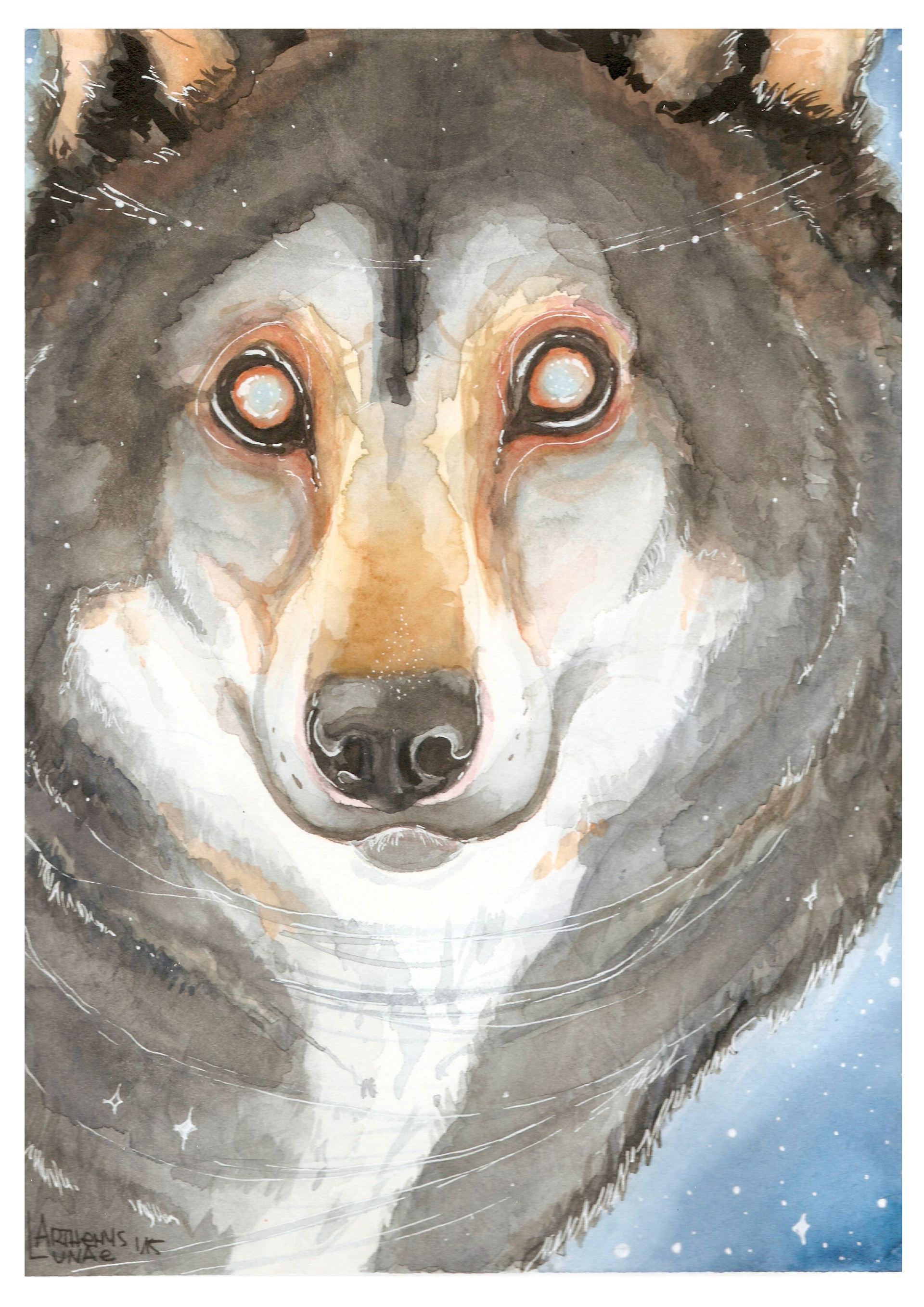 ArtStation - Star Eyes Wolf