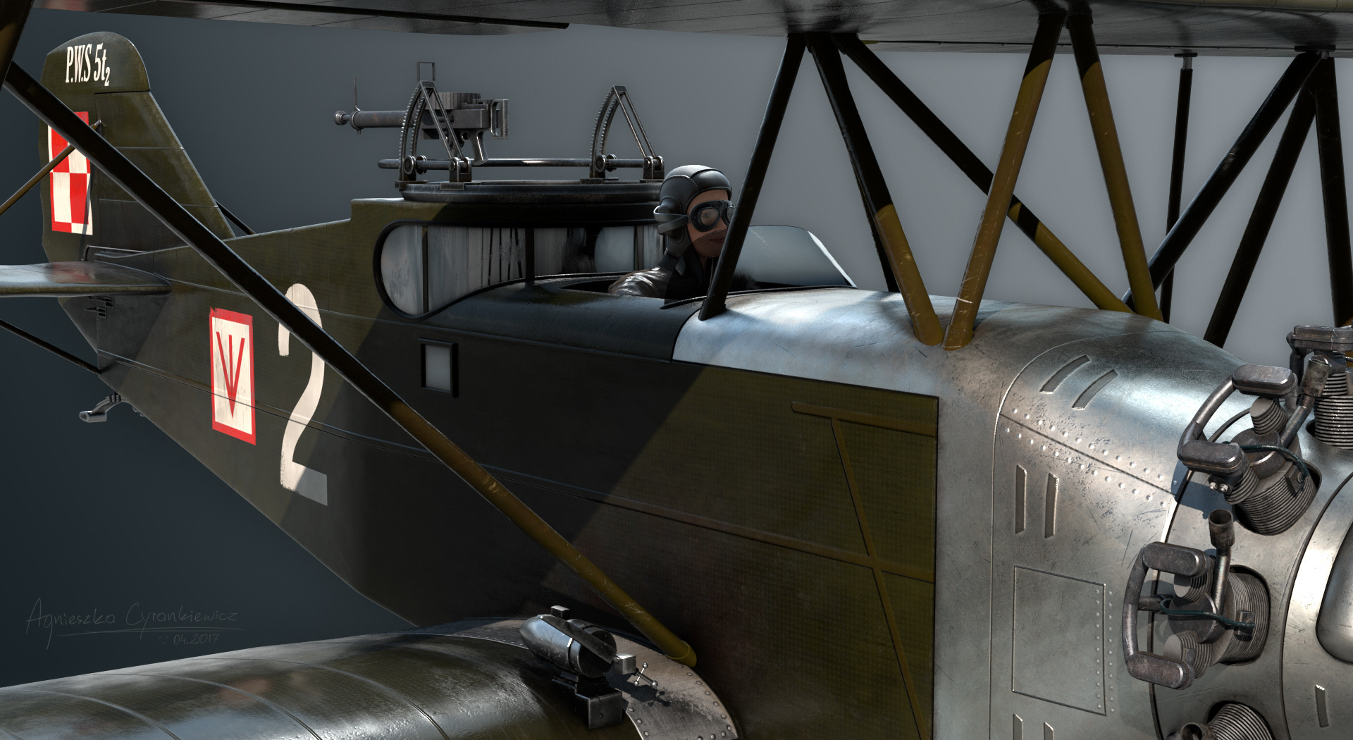 Agnieszka Cyrankiewicz - PWS 5 t2