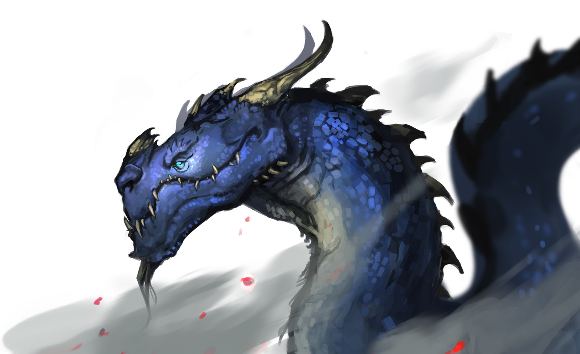 ArtStation - Dragons