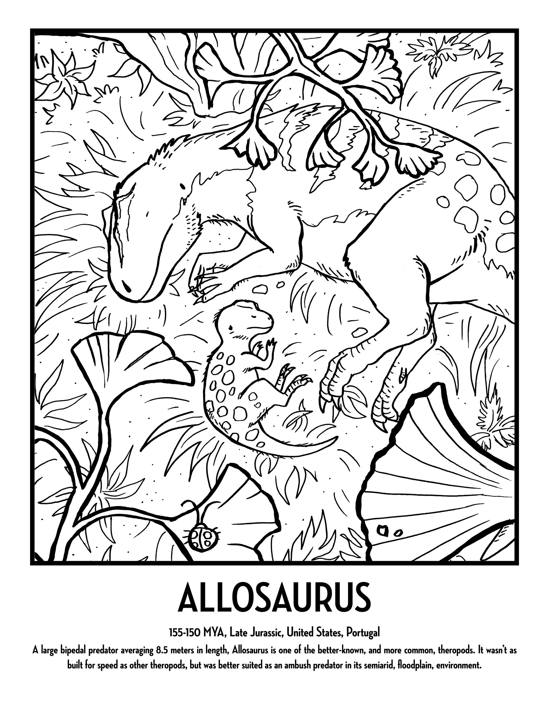 portugal coloring book