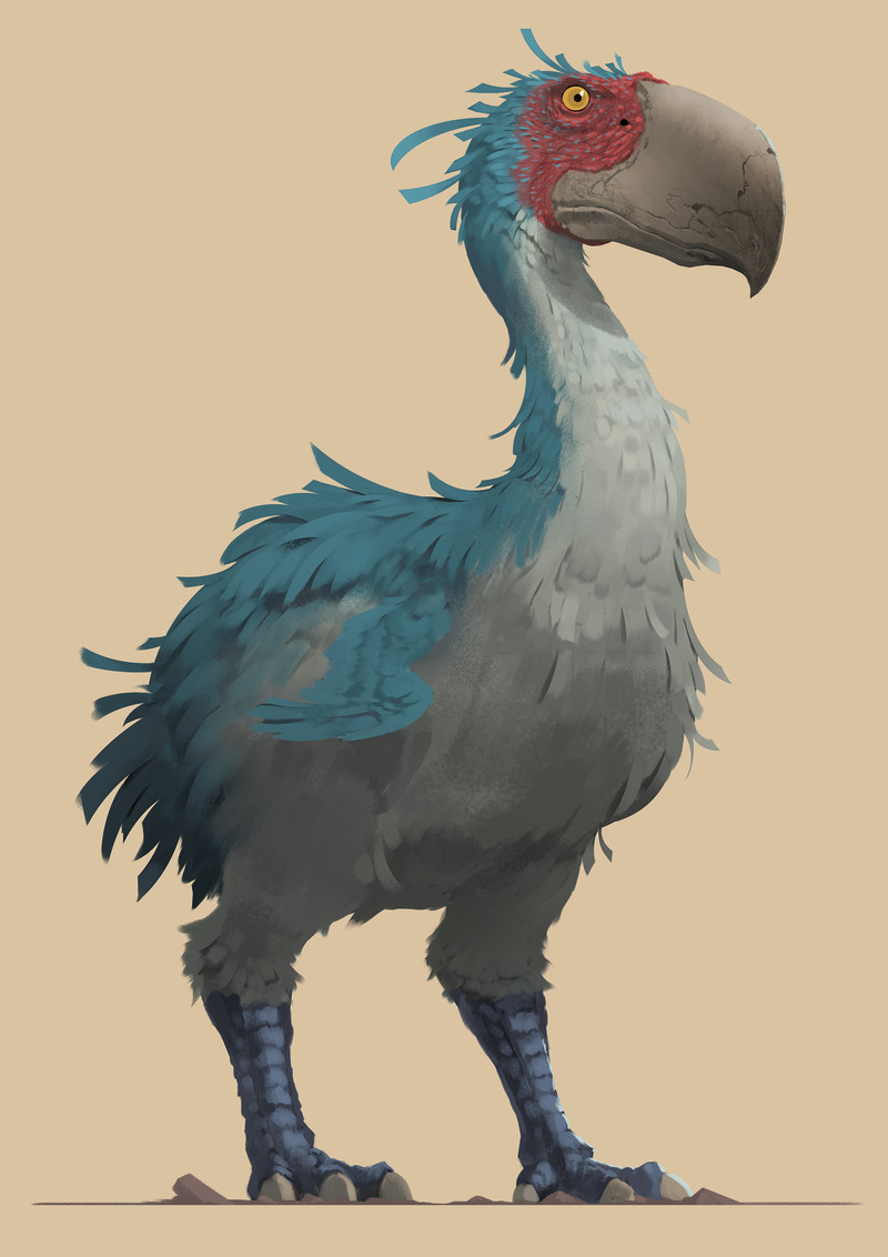 yu-yiming-.jpg (800×1132)-花瓣网