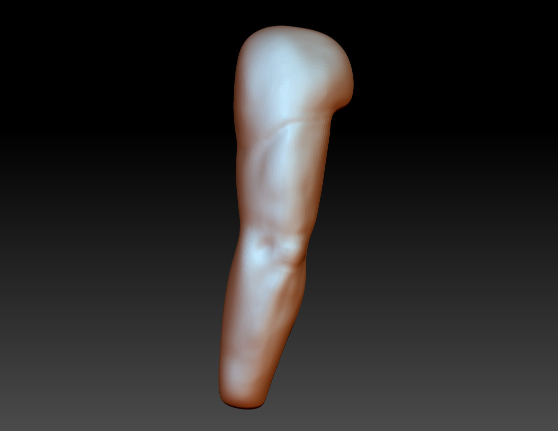 ArtStation - Arm study
