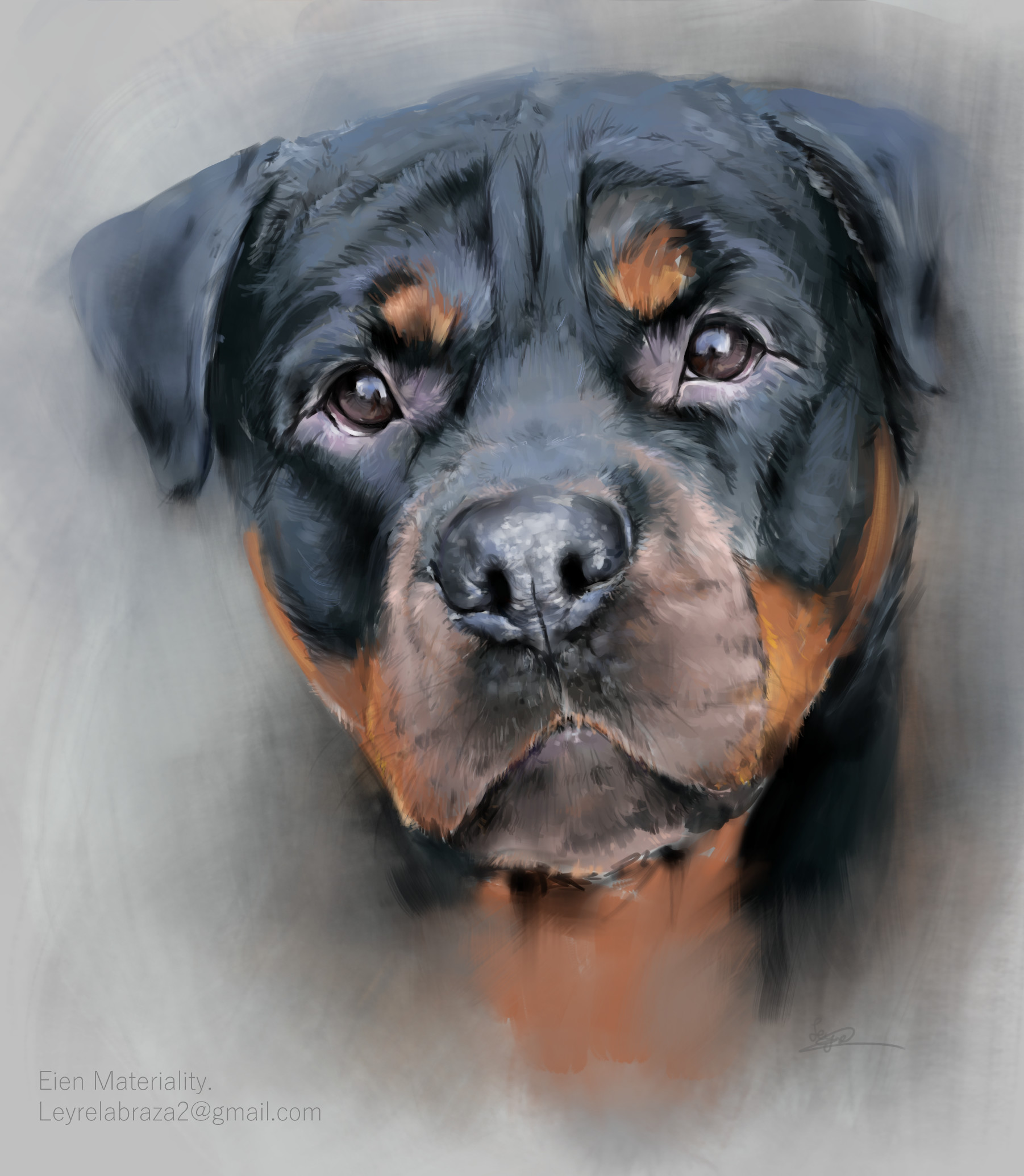 ArtStation - Rottweiler study