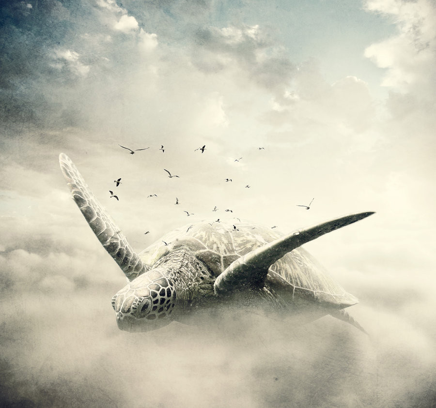 Imaginary Leviathans