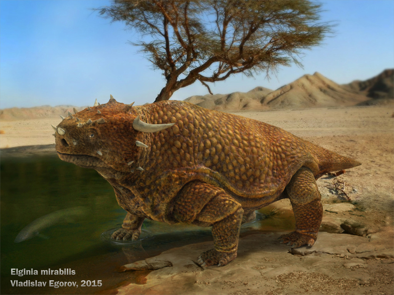 ArtStation - Elginia mirabilis