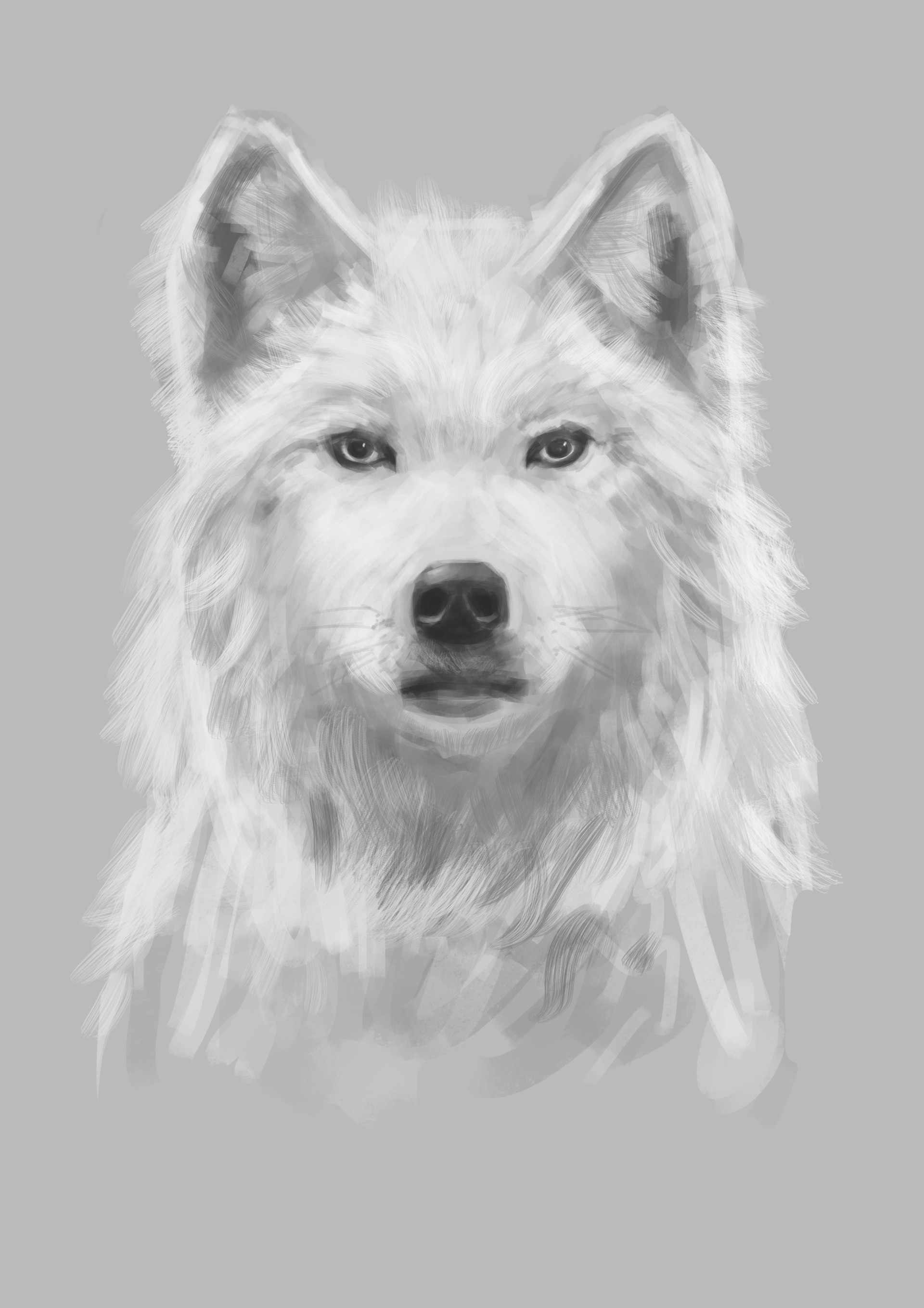 ArtStation - White Wolf