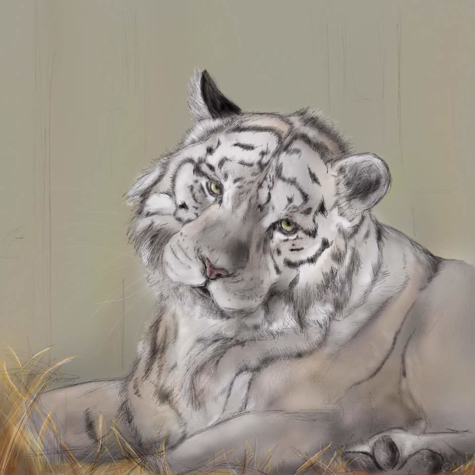 ArtStation - National Tiger Sanctuary
