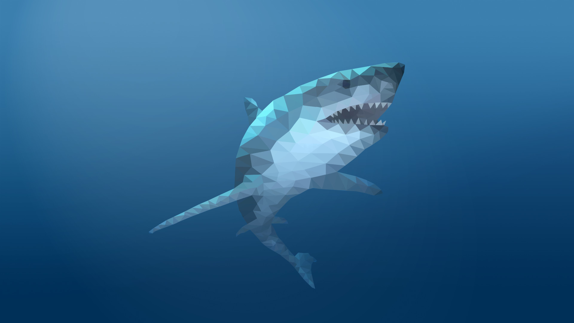 ArtStation - Poly Shark