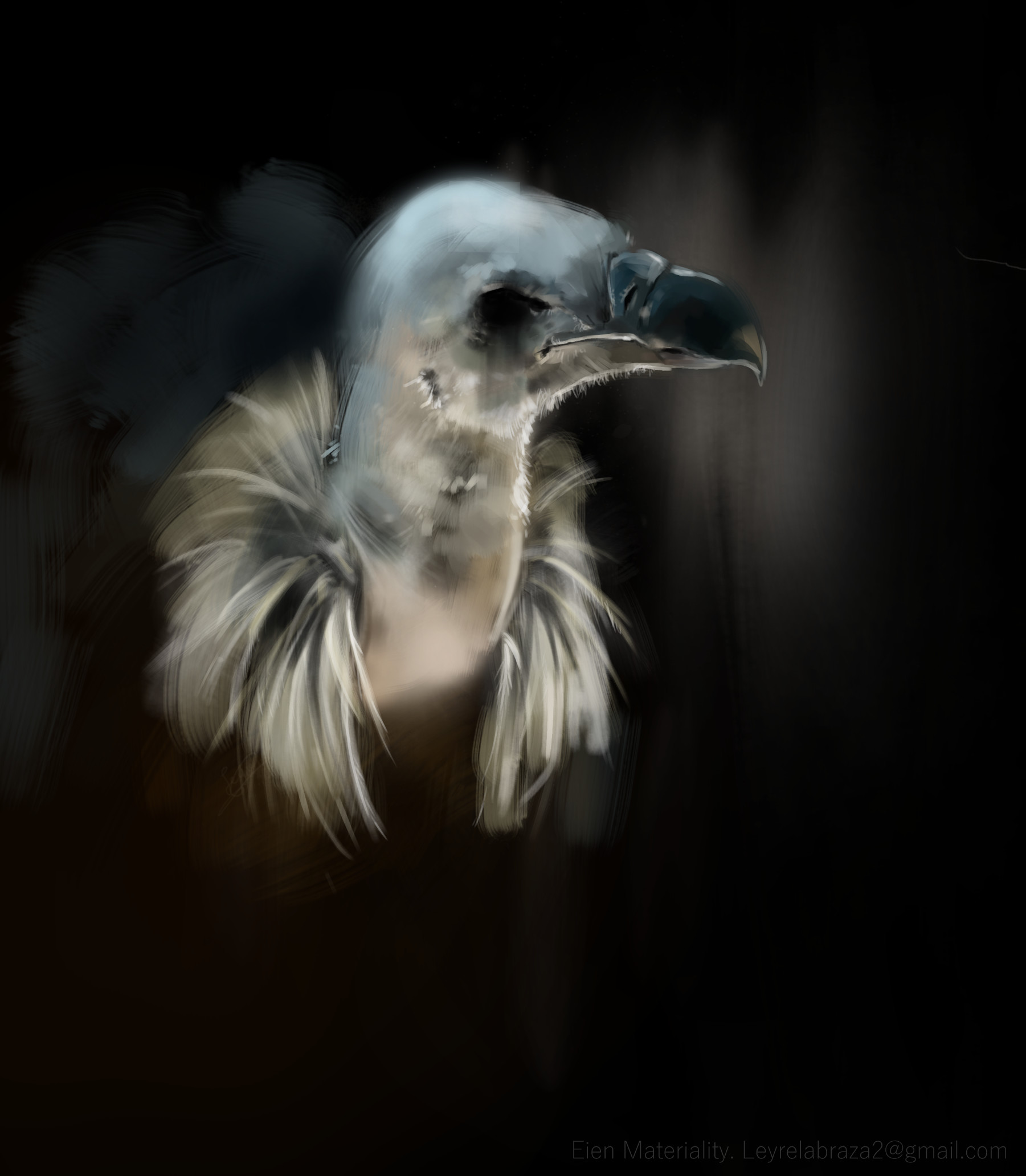 ArtStation - vulture colour study