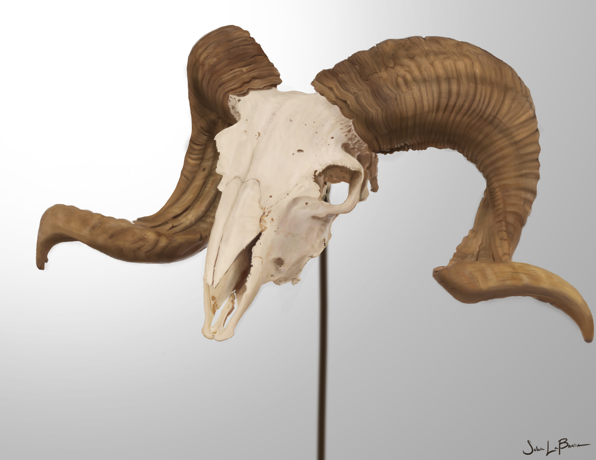 ArtStation - Photoshop Digital Painting - Ram Skull