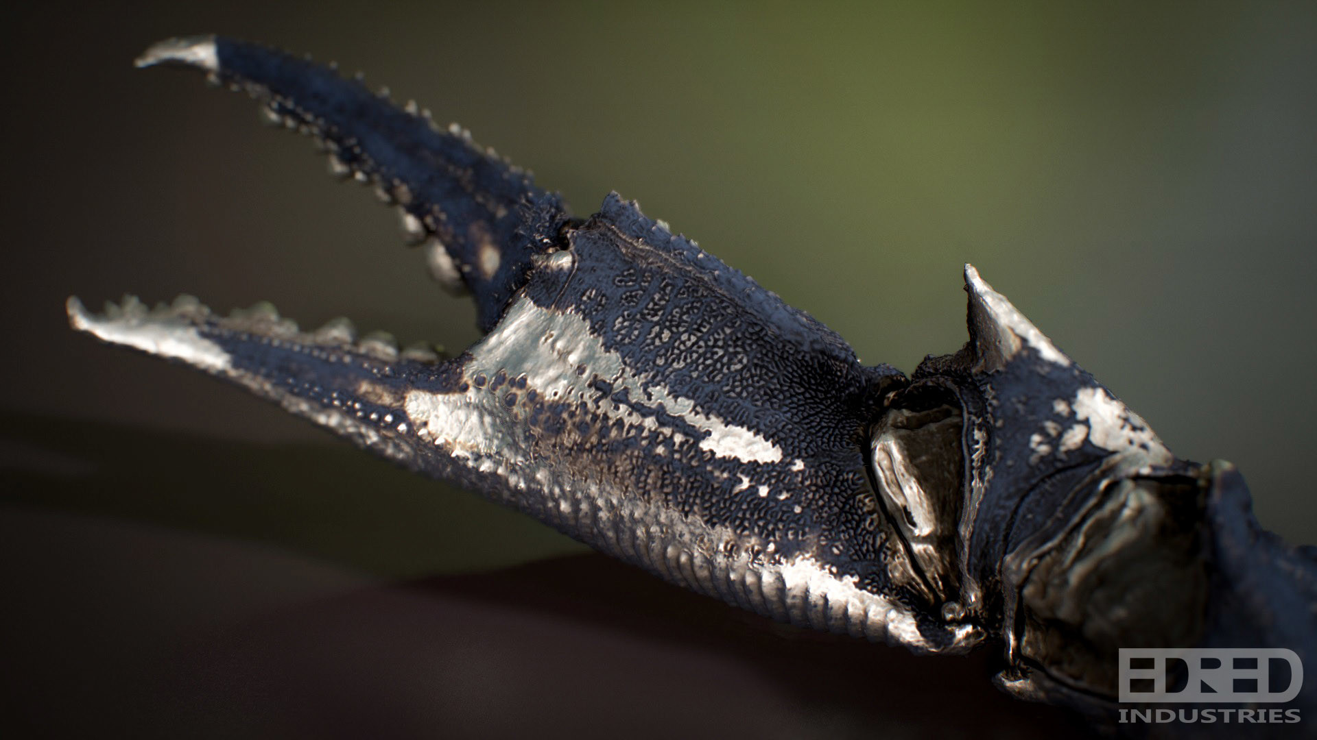 EDWARD DENTON - EDRED INDUSTRIES - Crab Claw revisted