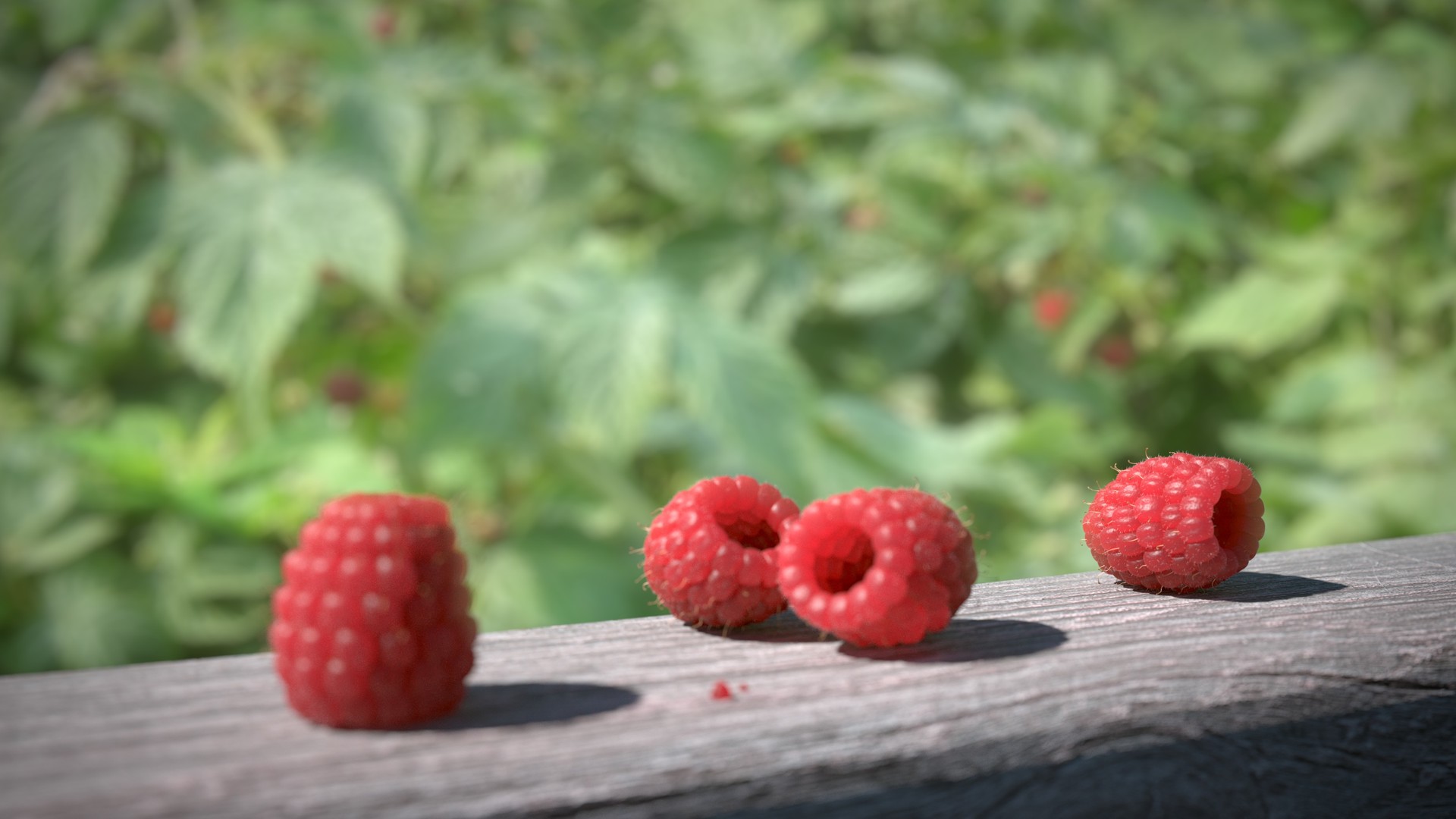 ArtStation - Raspberries