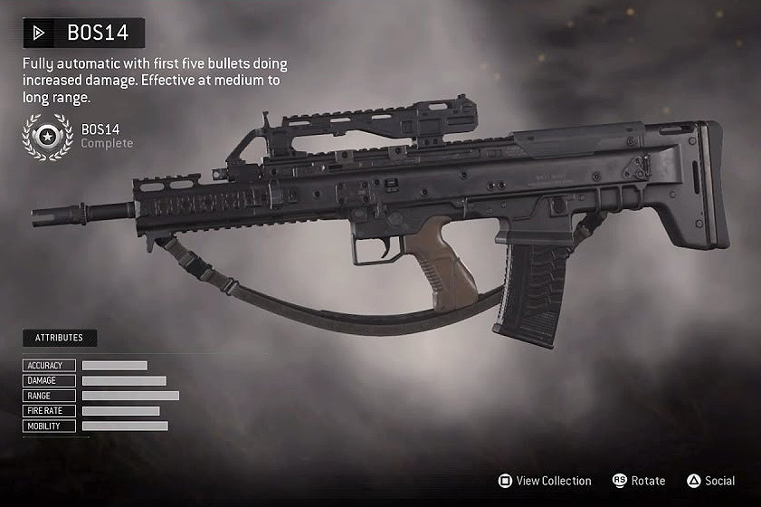Advanced Warfare Assault Rifles