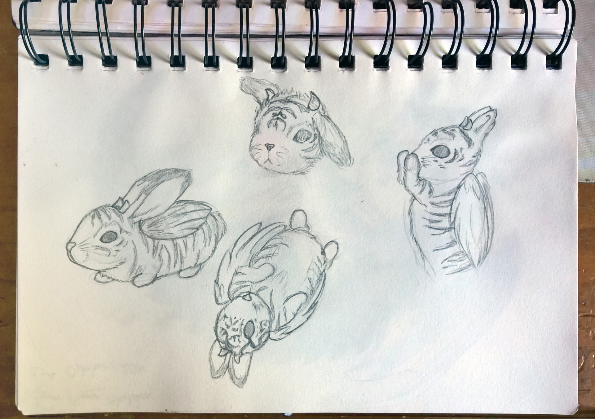 ArtStation - Tiger Bunny Sketches