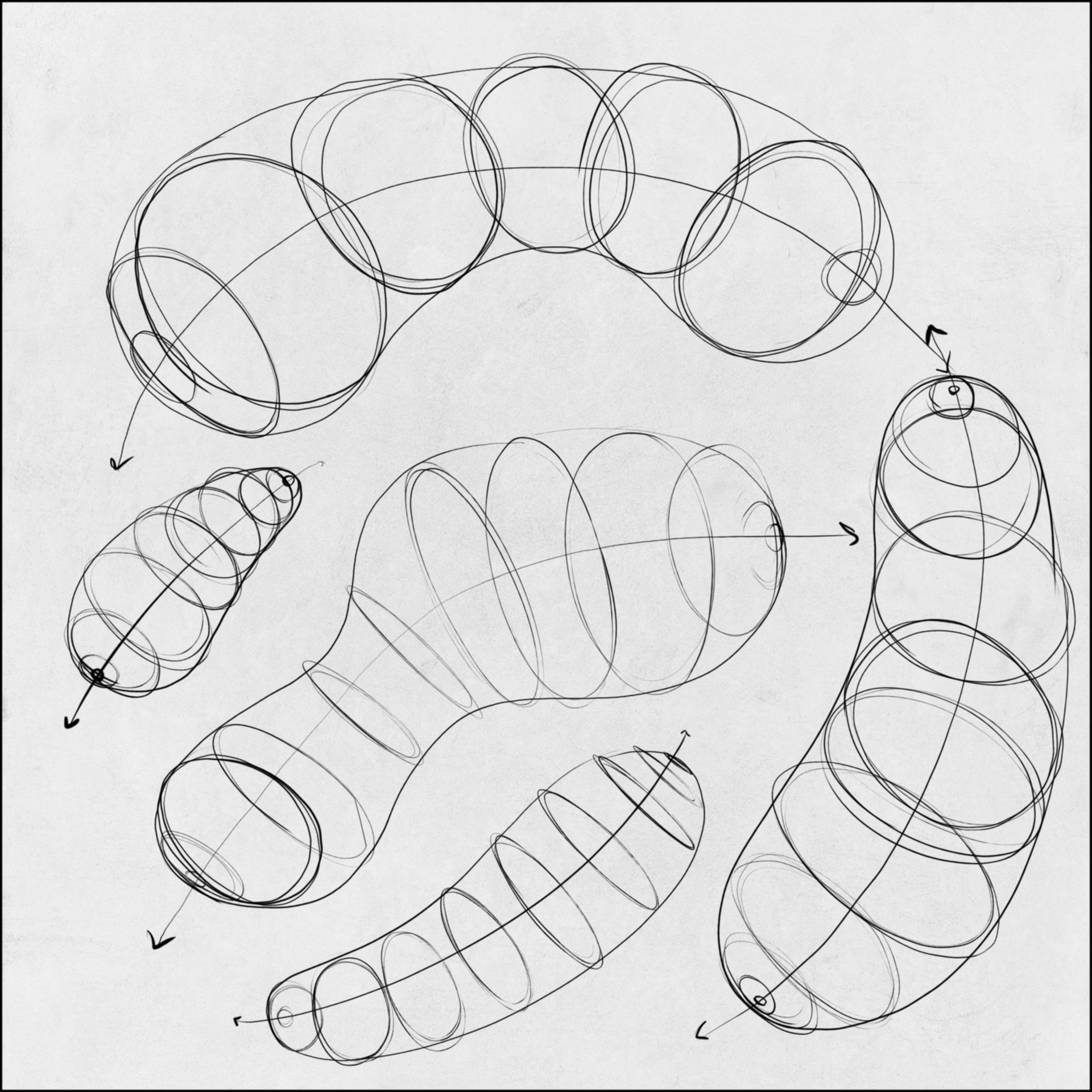 organic forms drawing