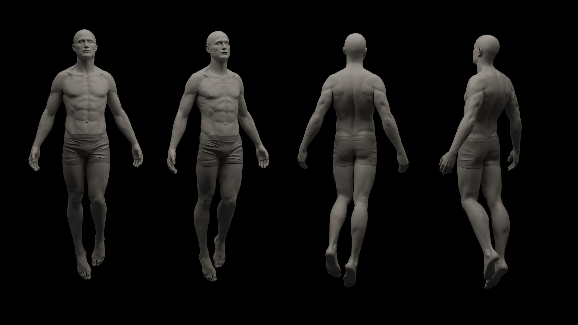 ArtStation - Male Anatomy Study
