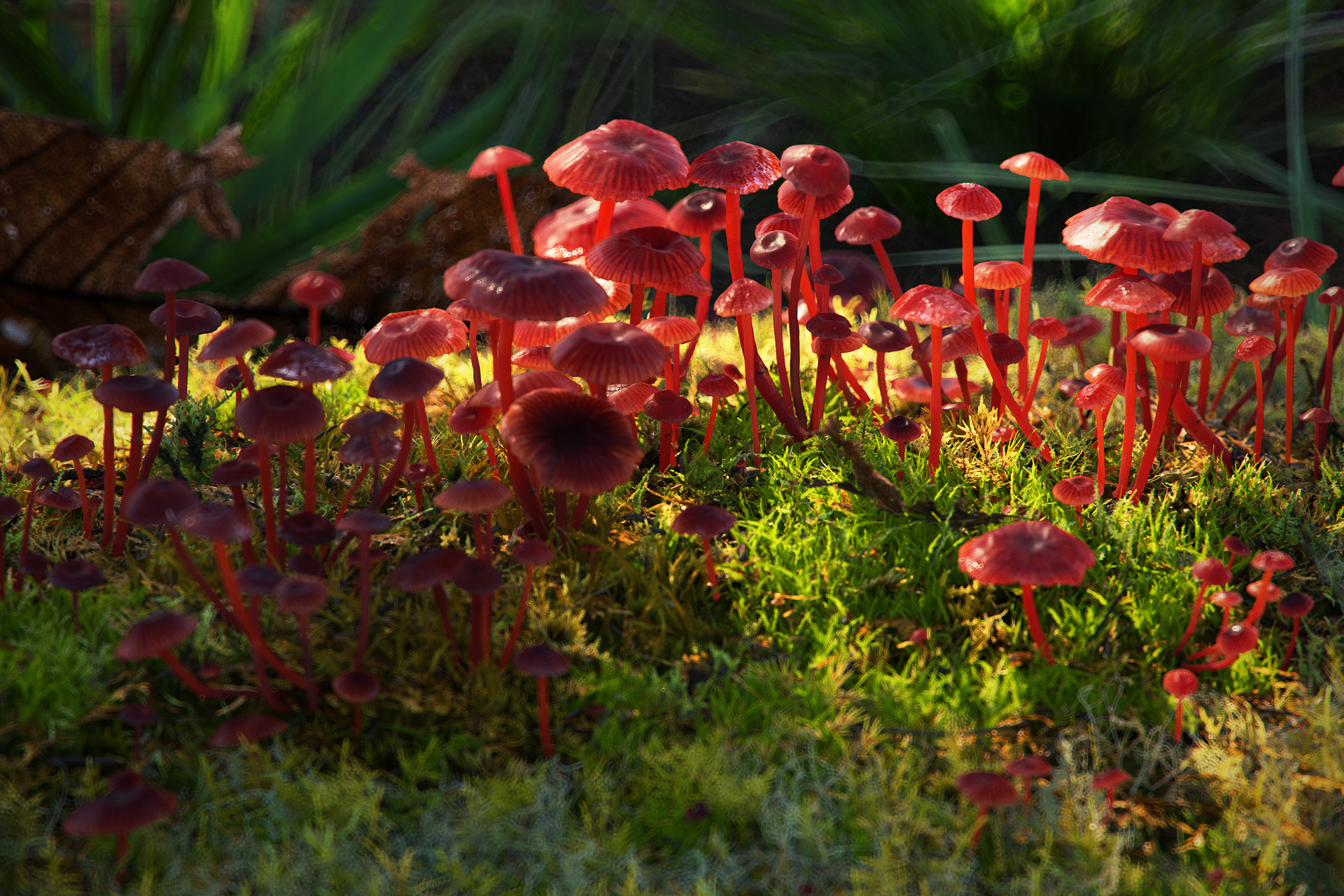 ArtStation - Fungi