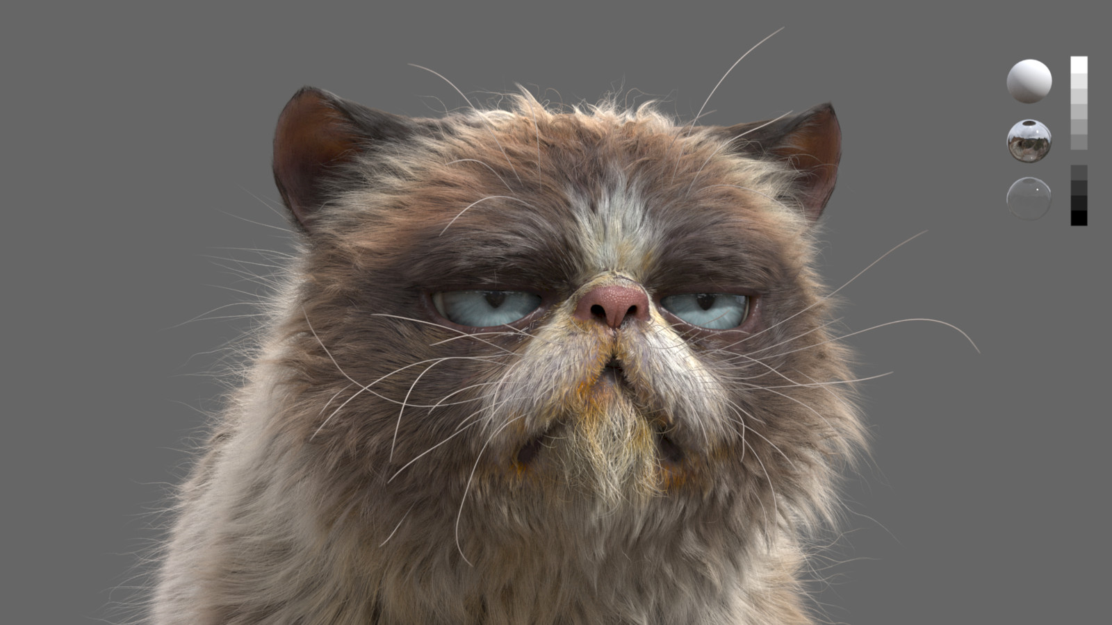 Yannick Vincent - Grumpy Cat
