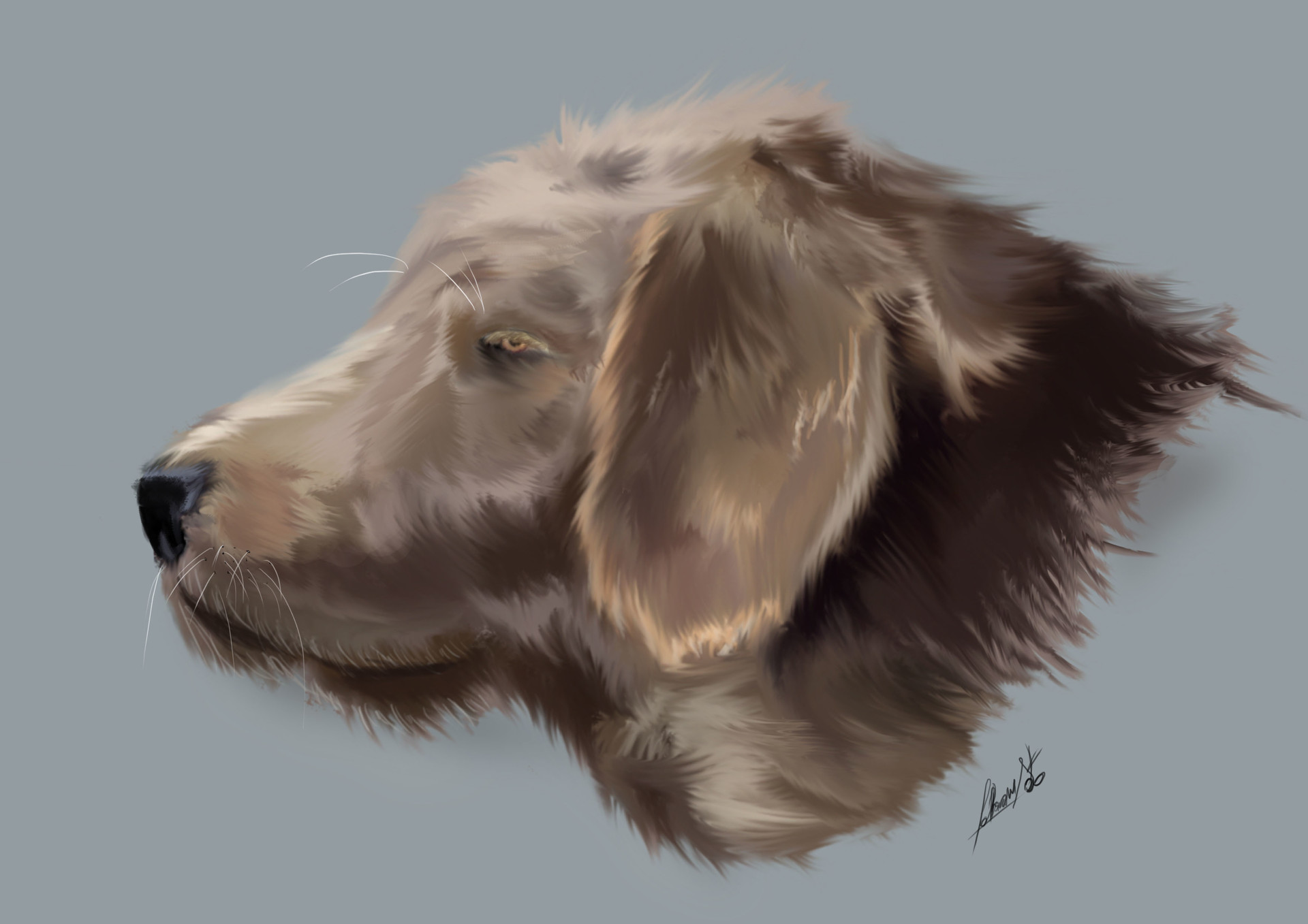 ArtStation - Boris, The Dog.