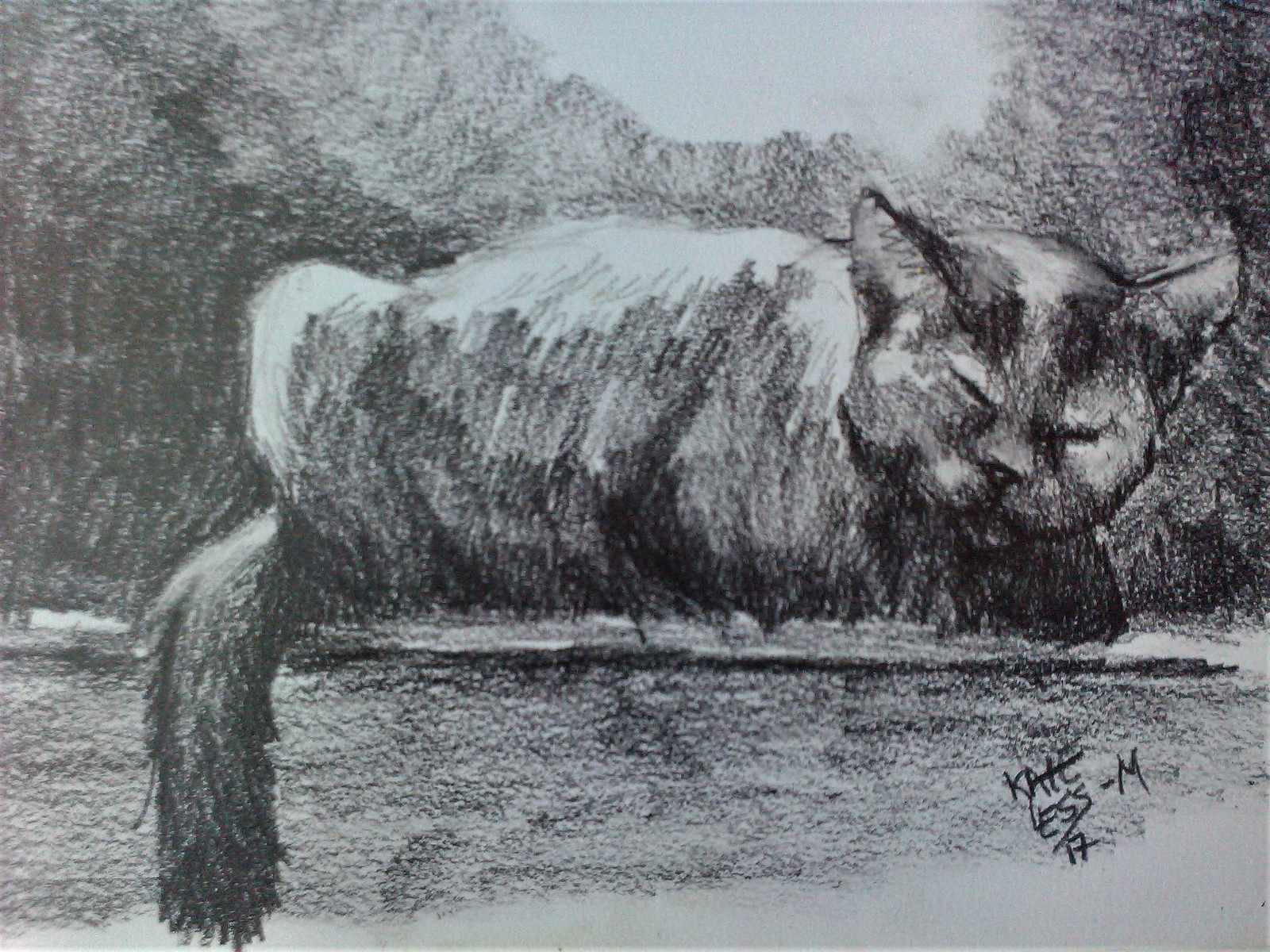 kate less-madsen - On The Edge