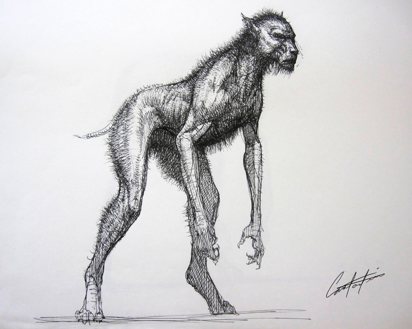 Constantine Sekeris - werewolf creature design
