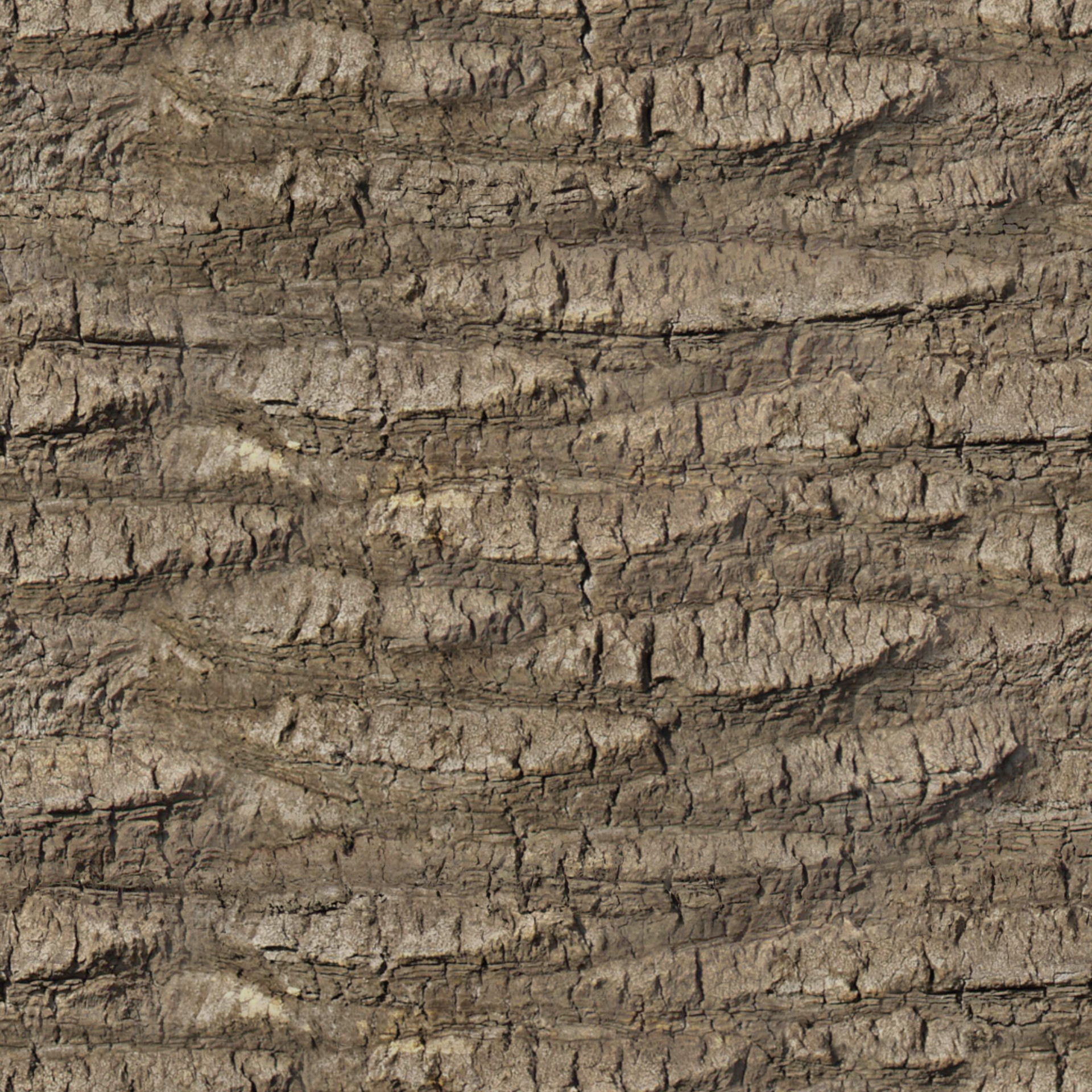 Palm Tree Bark Texture Seamless