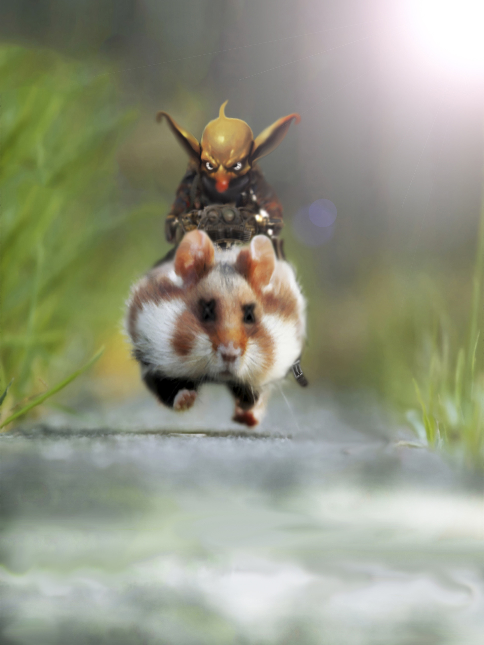 ArtStation - Rat and Goblin