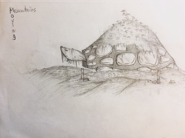 David Z - Turtle Mountain