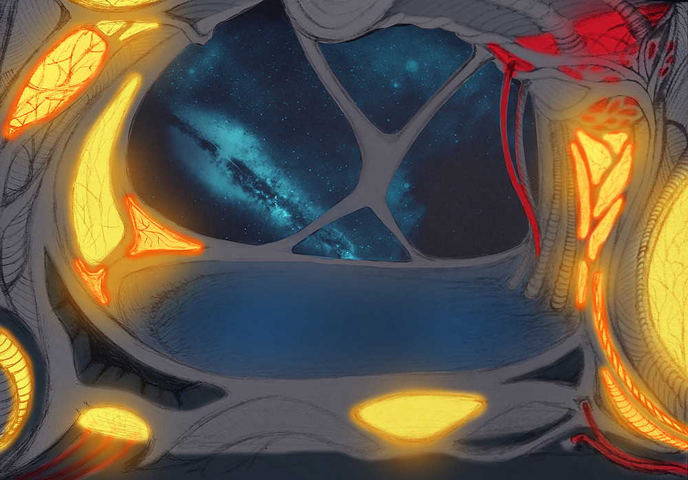 Nina Vels - Abstractions