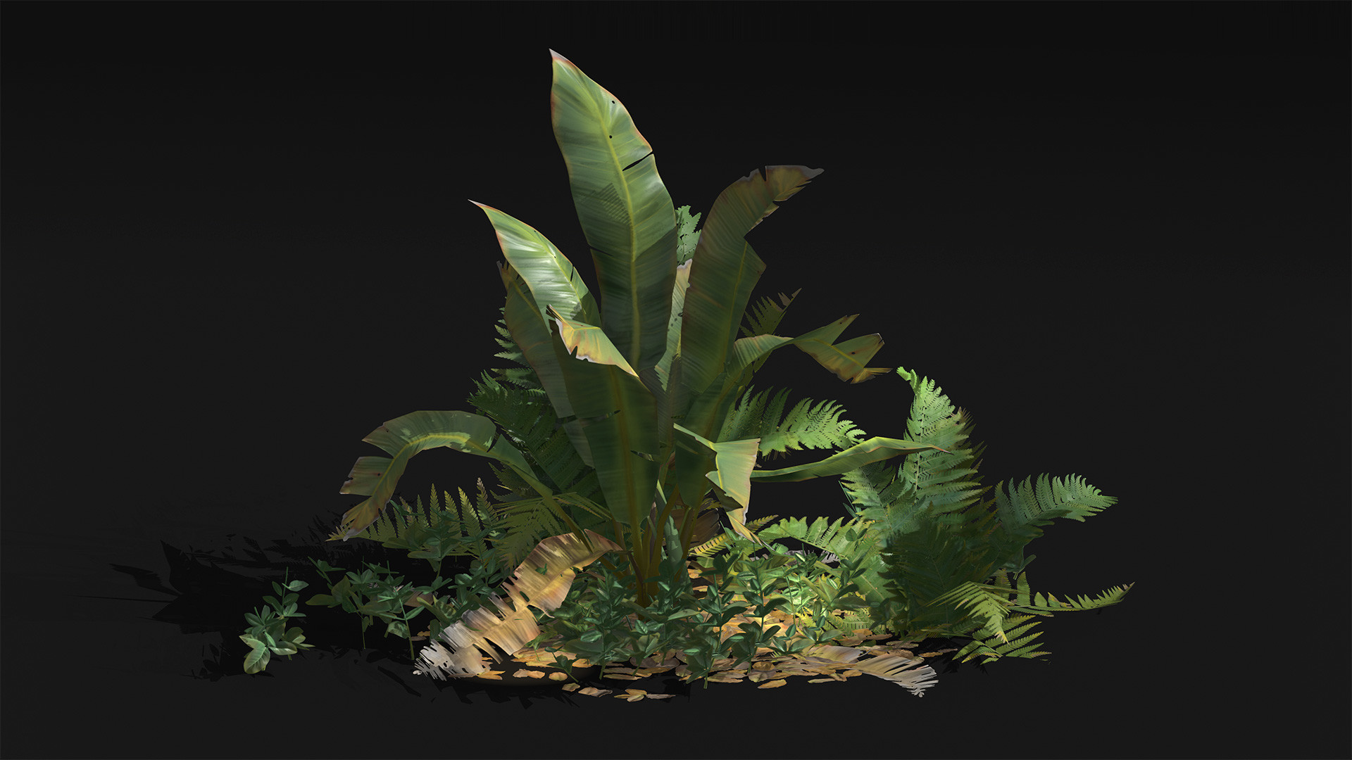 ArtStation - Foliage study